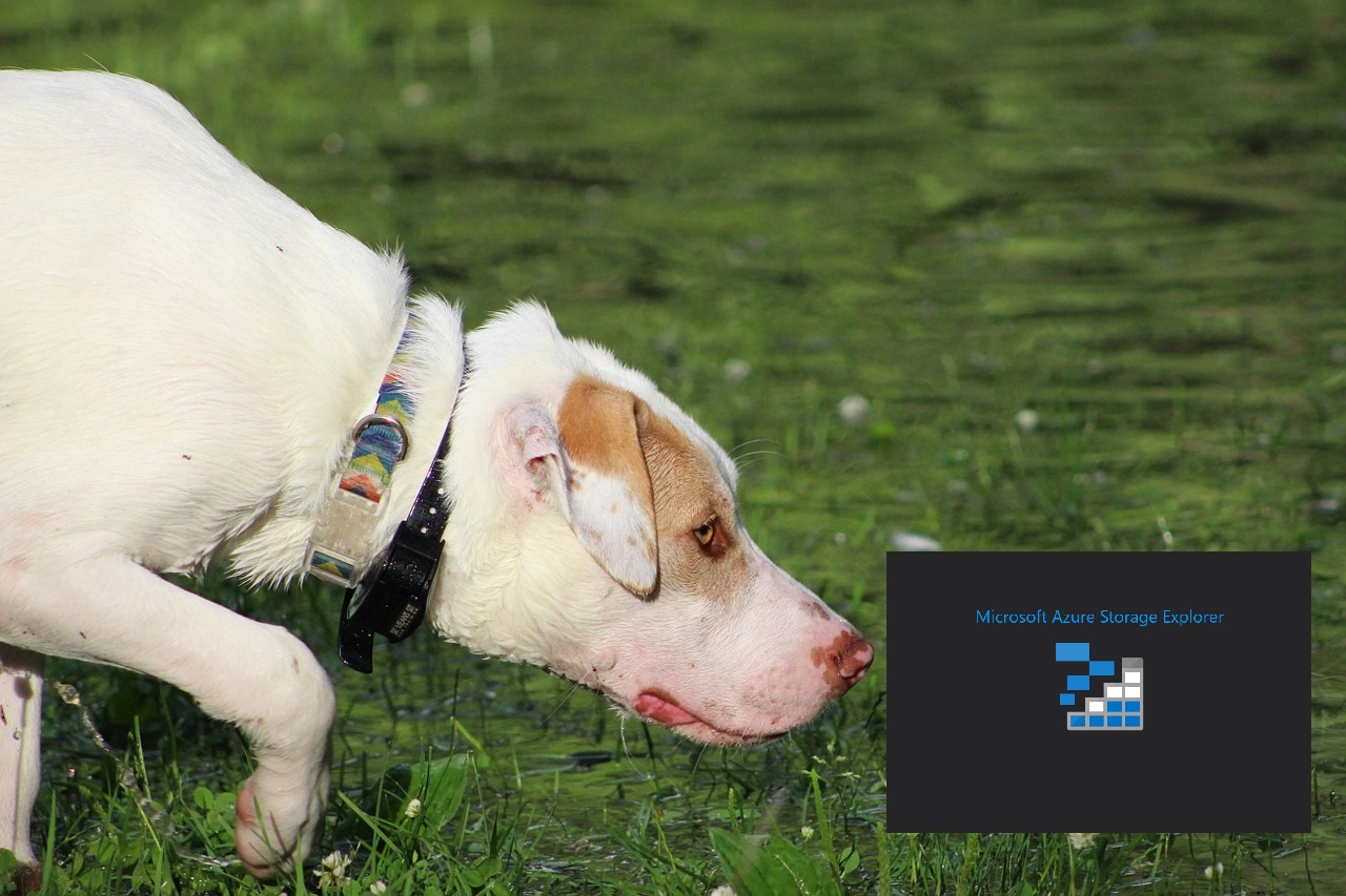 How To Sniff Adls Gen2 Storage Rest Api Calls To Azure Using Azure Storage Explorer Azure Data